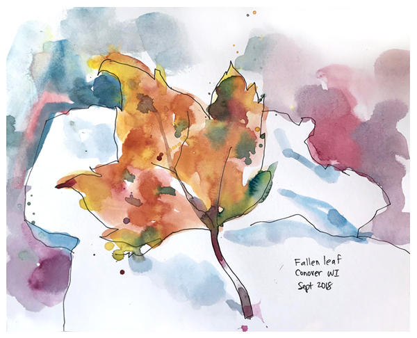 daily painting | fallen leaf - emily weil art
